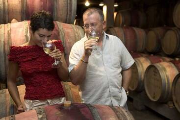 Winzer Belland Roger, Santenay | Alles Wein